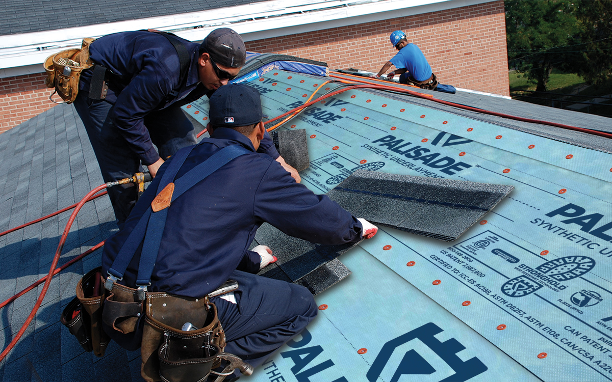 Home - IPG - ECP Division